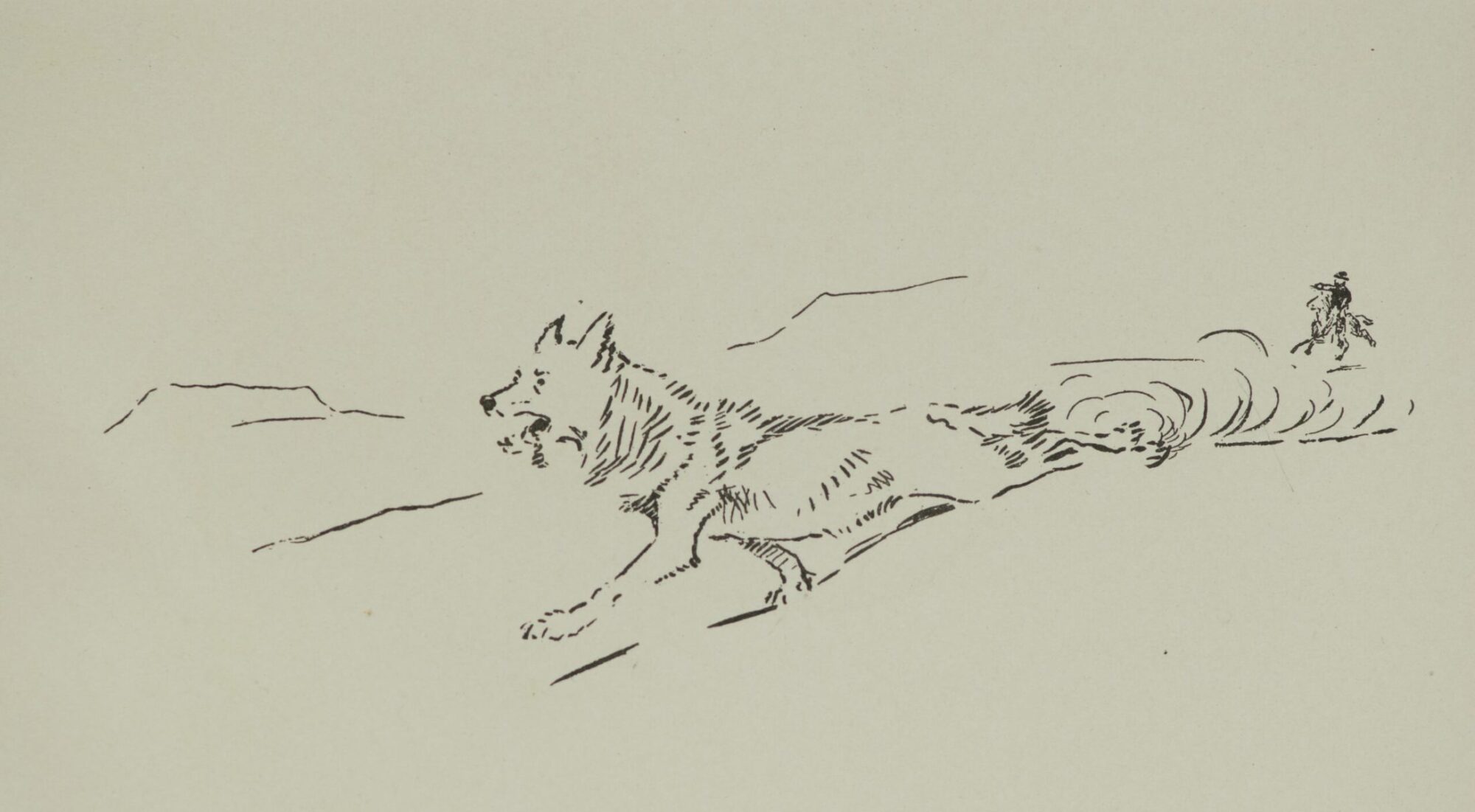 Hunt for Lobo Continues Today | ET Seton Legacy Project