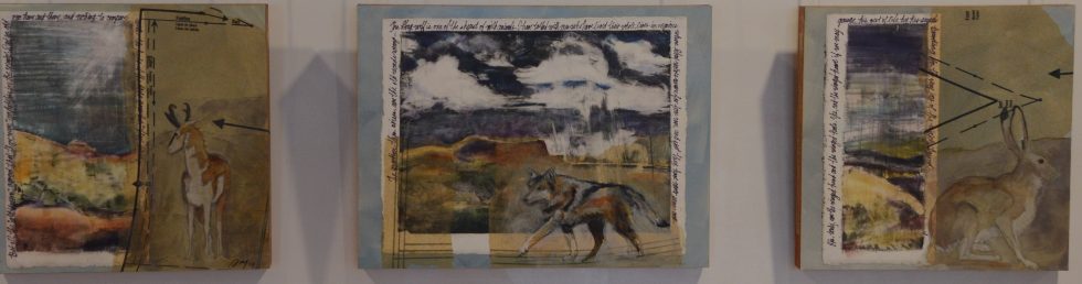Amy Flowers Ecological Relationships | ET Seton Legacy Project
