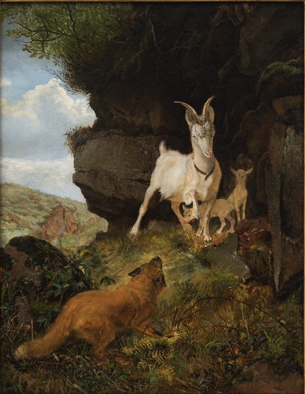 Fox and Goats painting by Ernest Thompson Seton | ET Seton Legacy Project