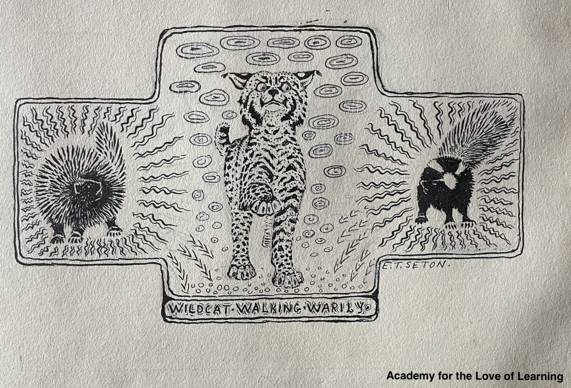 Wildcat by Ernest Thompson Seton | ET Seton Legacy Project