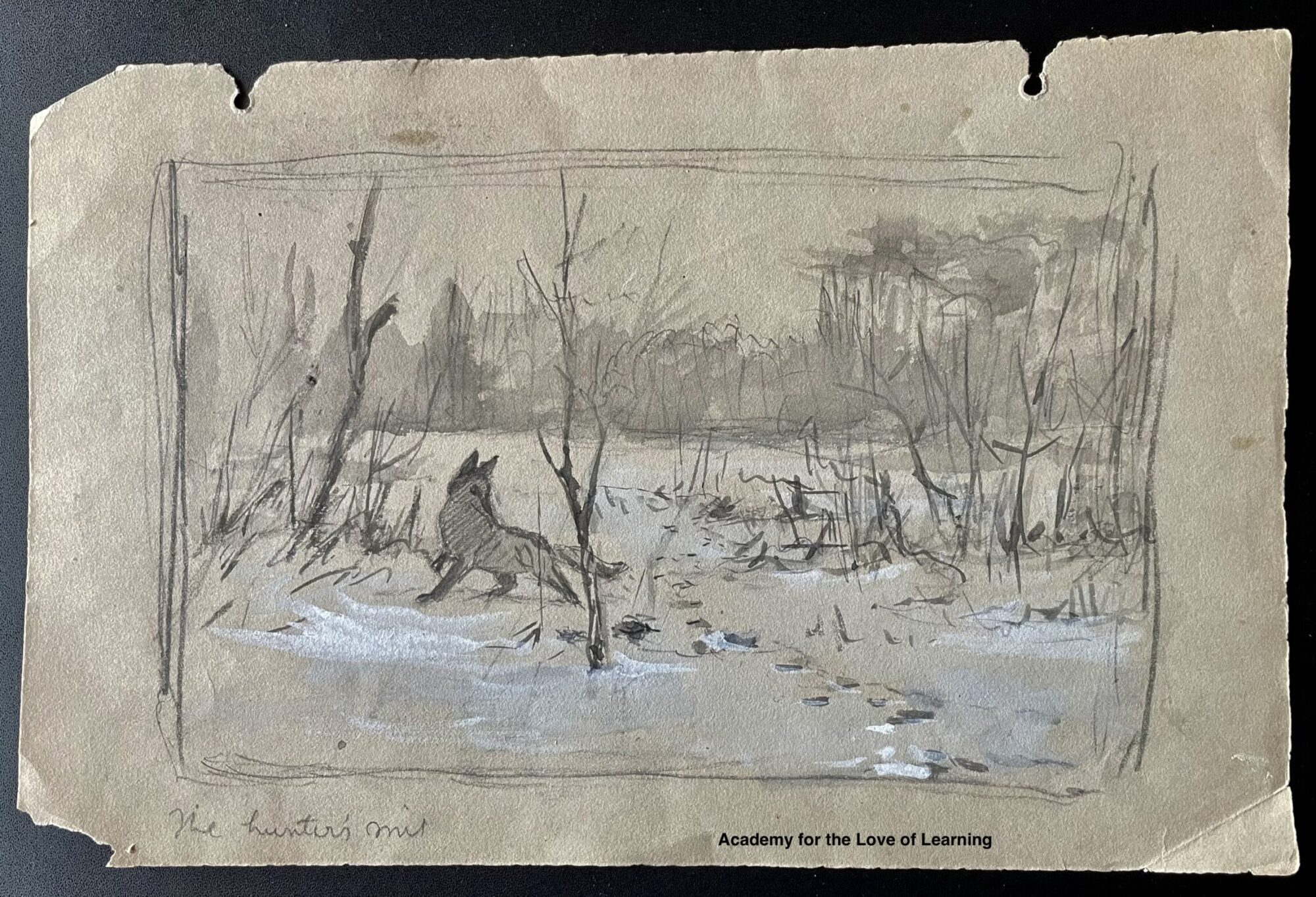 The Fox Makes A Discovery | ET Seton Legacy Project